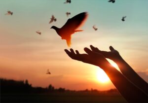 about us | AZAPA株式会社